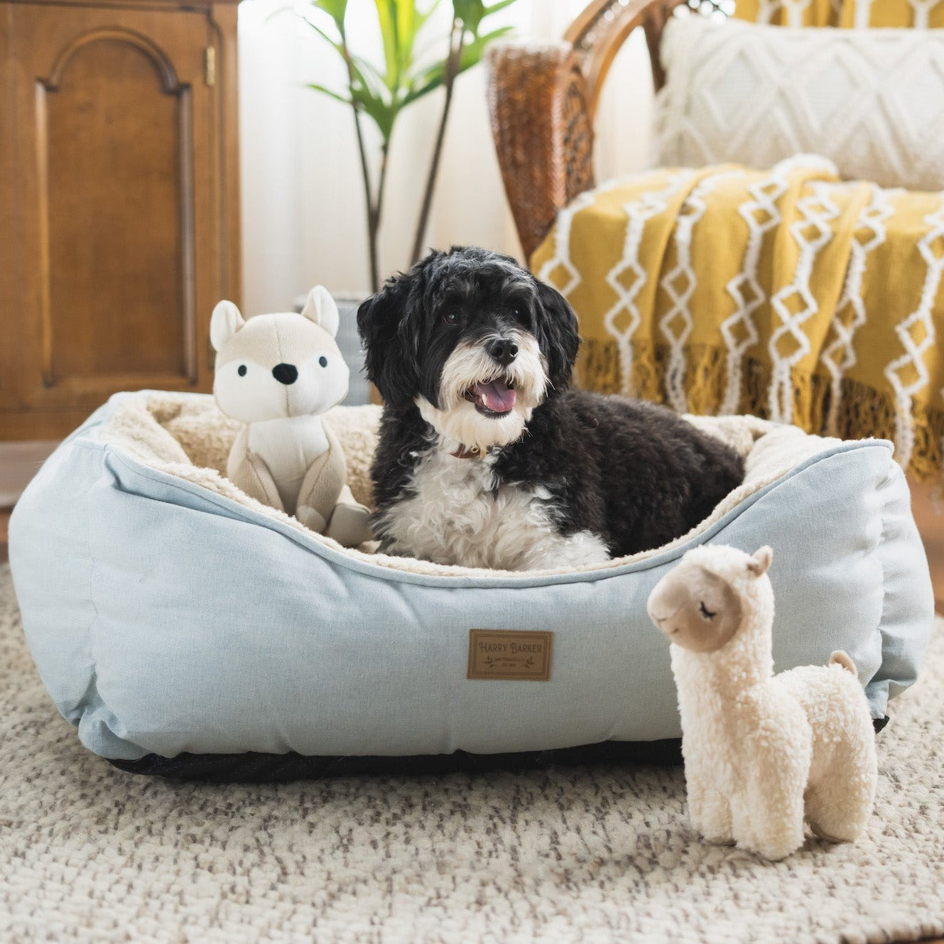 Dog Beds, Dog Bed Covers, Bed Inserts, & More | Harry Barker