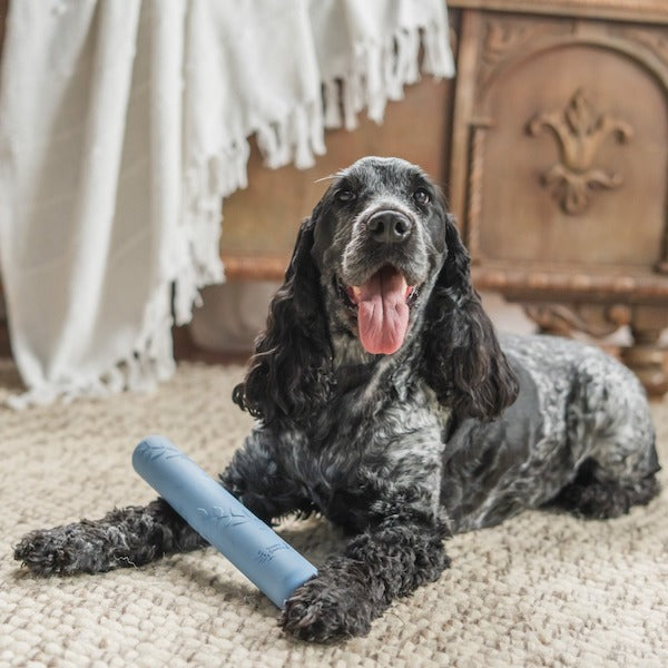 Harry Barker | Luxury Dog Accessories and Products